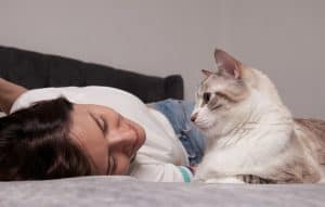 Why Does My Cat Stare At Me While I Sleep?