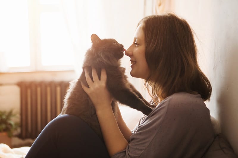 How To Communicate With A Cat 